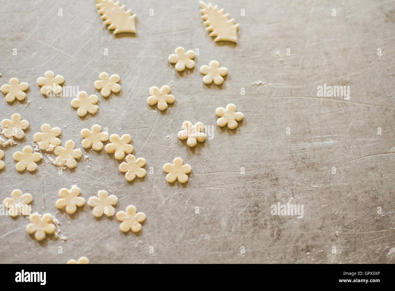 Yeast flower hi-res stock photography and images - Alamy