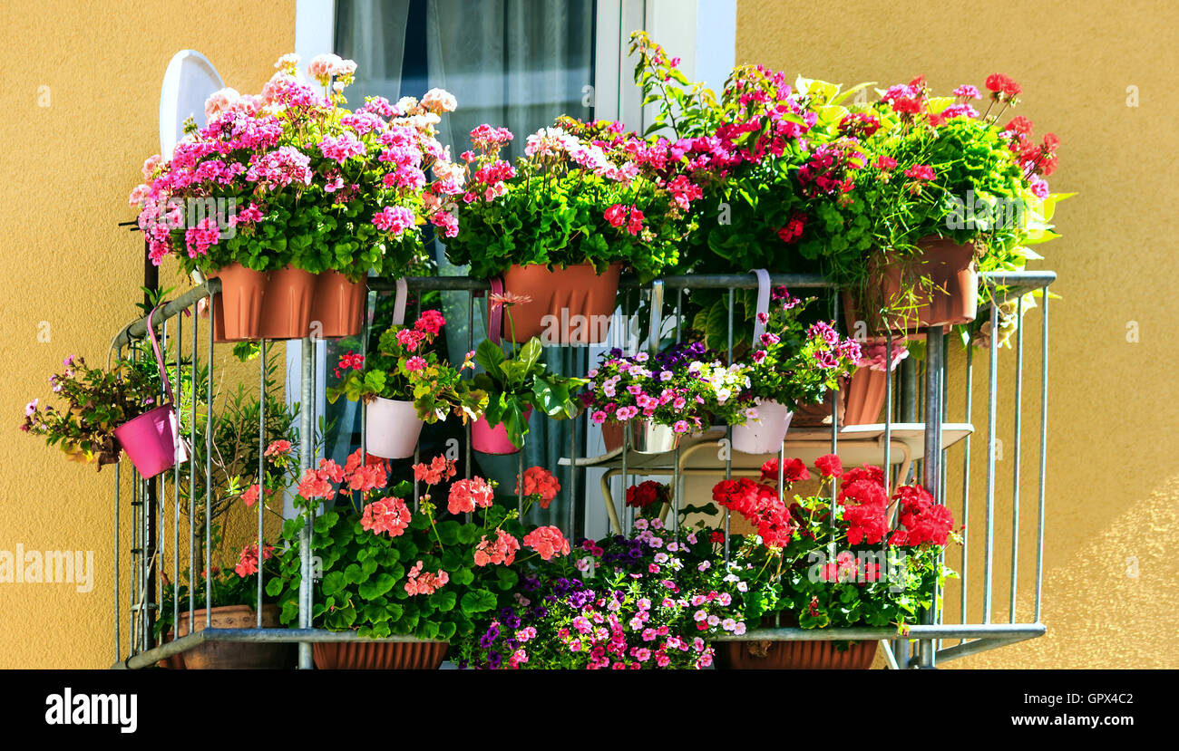 Balcony geraniums hi-res stock photography and images - Alamy