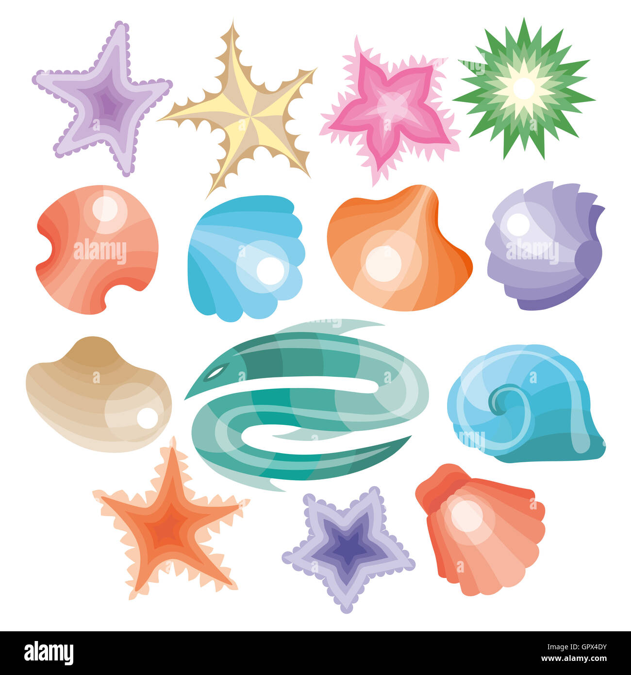 Collection of Sea Shells and Stars Stock Photo - Alamy