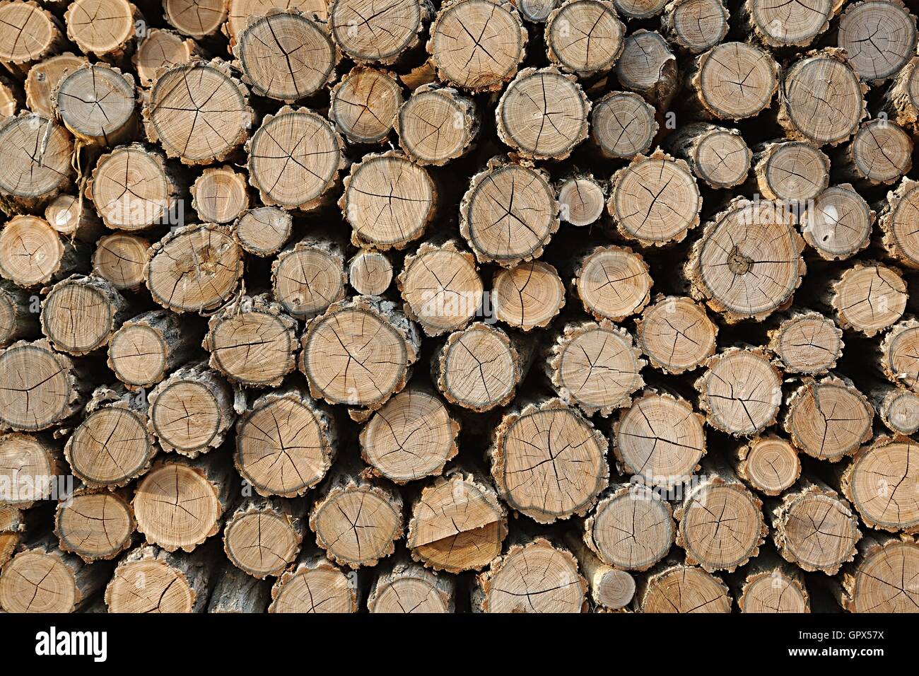Log wood pile Stock Photo - Alamy