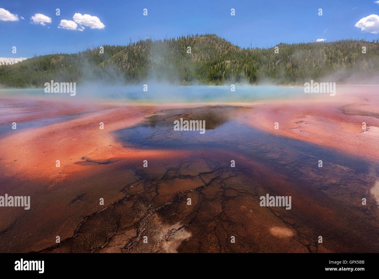 Steam rises above the beautiful geyser Grand Prismatic Spring Stock ...