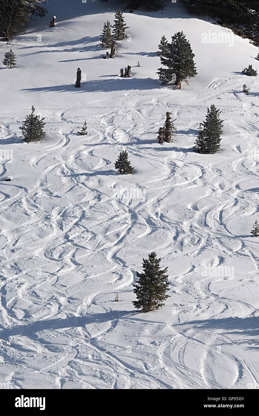 Ski Slope with Fresh Curves Stock Photo - Alamy