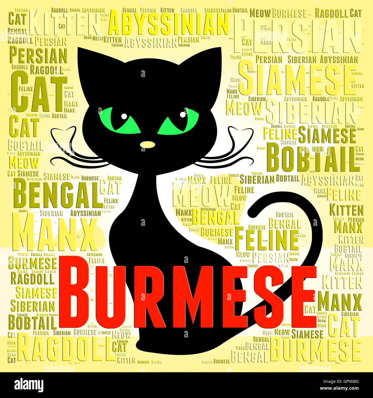 Mating domestic cats hi-res stock photography and images - Alamy