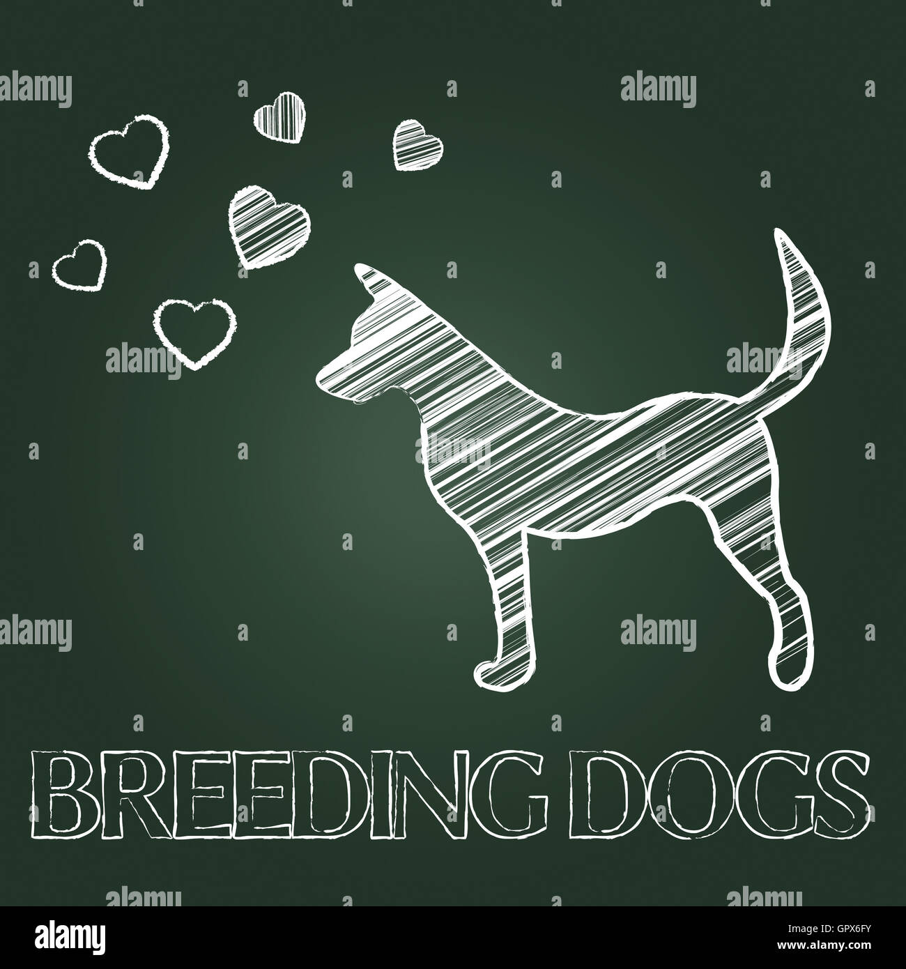 Breeding Dogs Showing Canine Bred And Doggy Stock Photo - Alamy