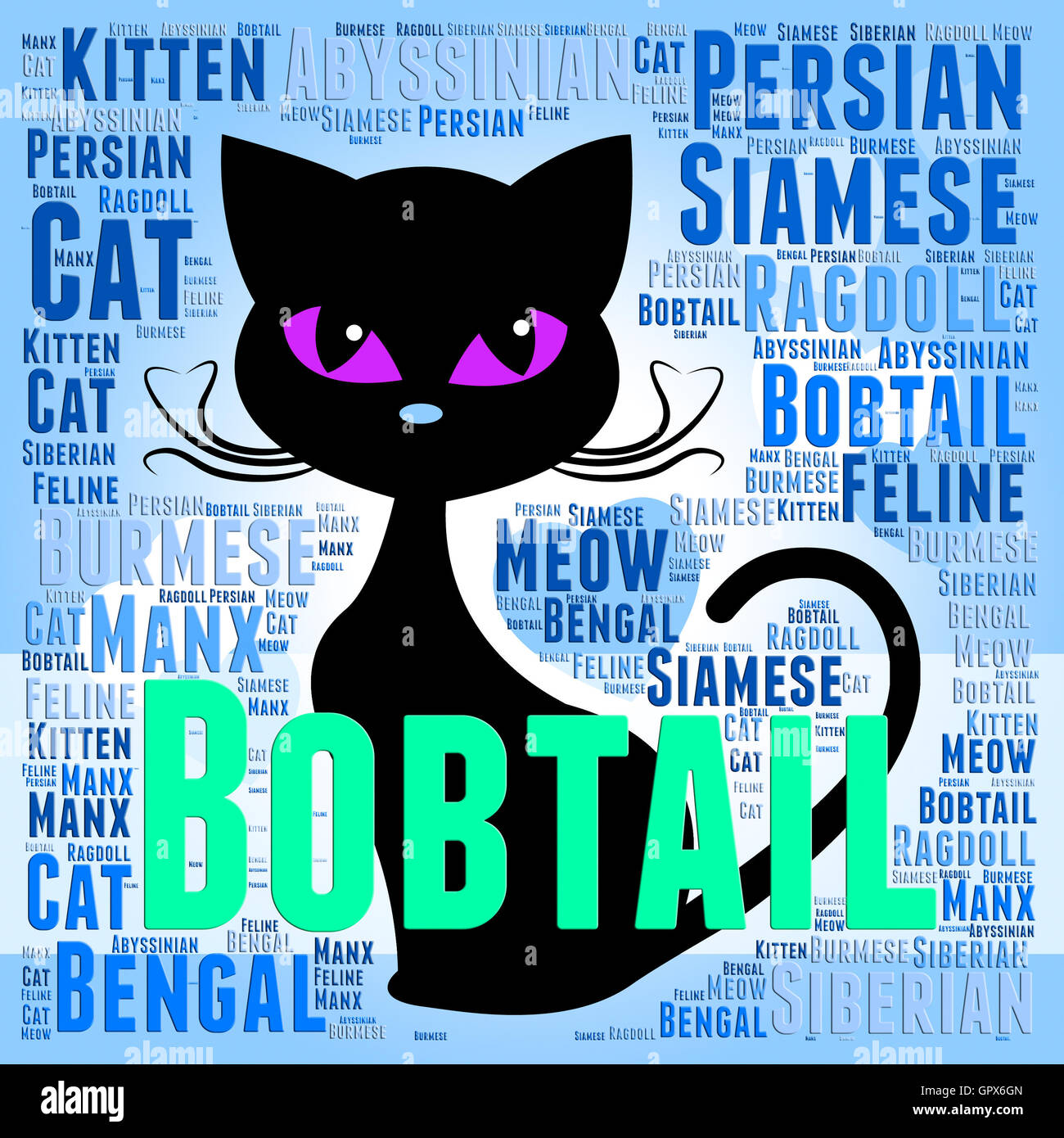 Bobtail Cat Showing Breeds Reproducing And Tails Stock Photo - Alamy