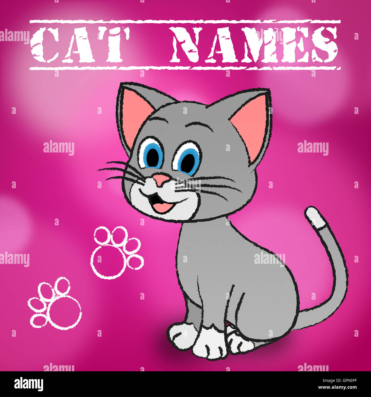 Cat Names Meaning Pet Puss And Pedigree Stock Photo - Alamy