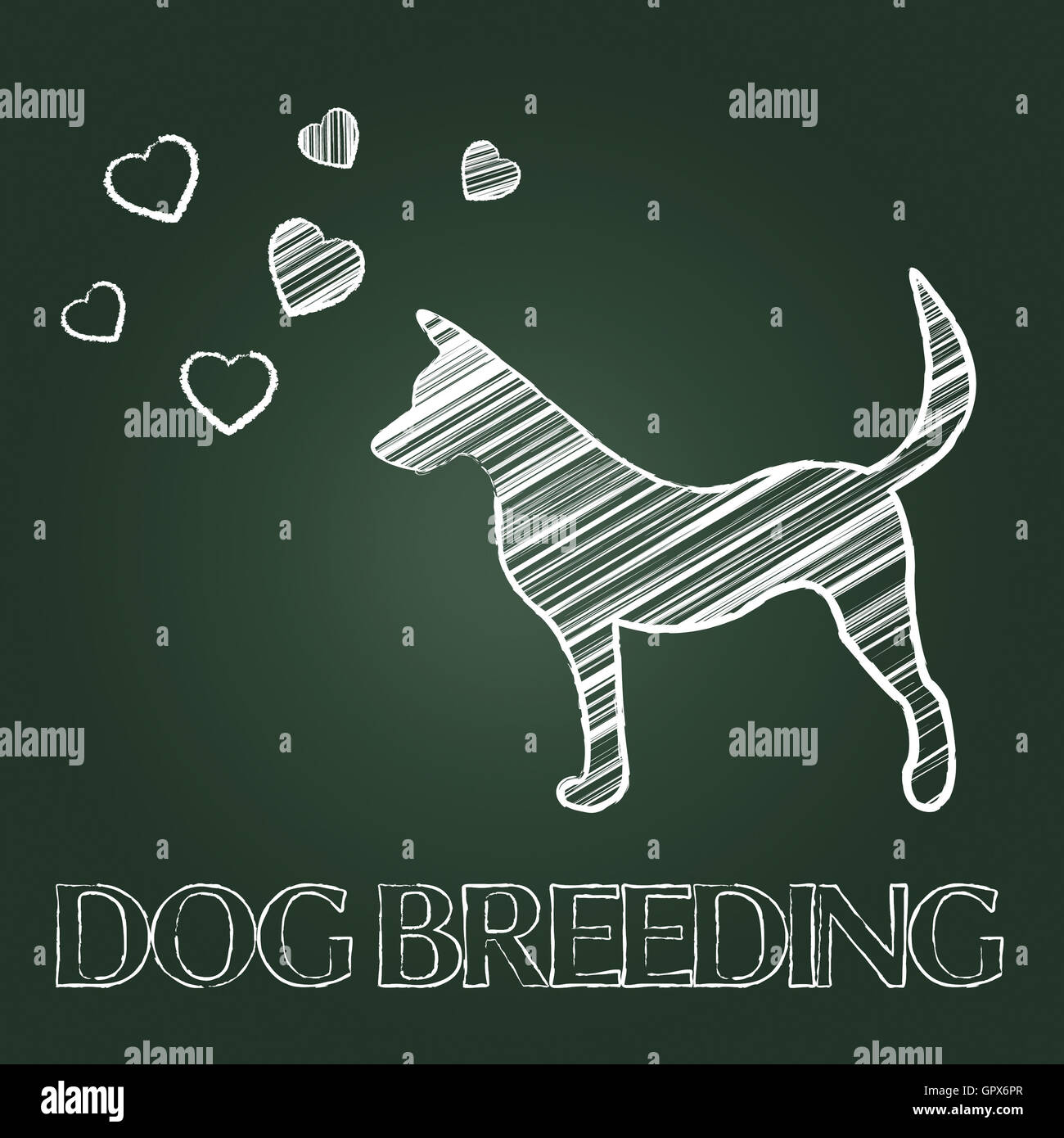 Dog Breeding Indicating Doggy Mate And Pedigree Stock Photo - Alamy