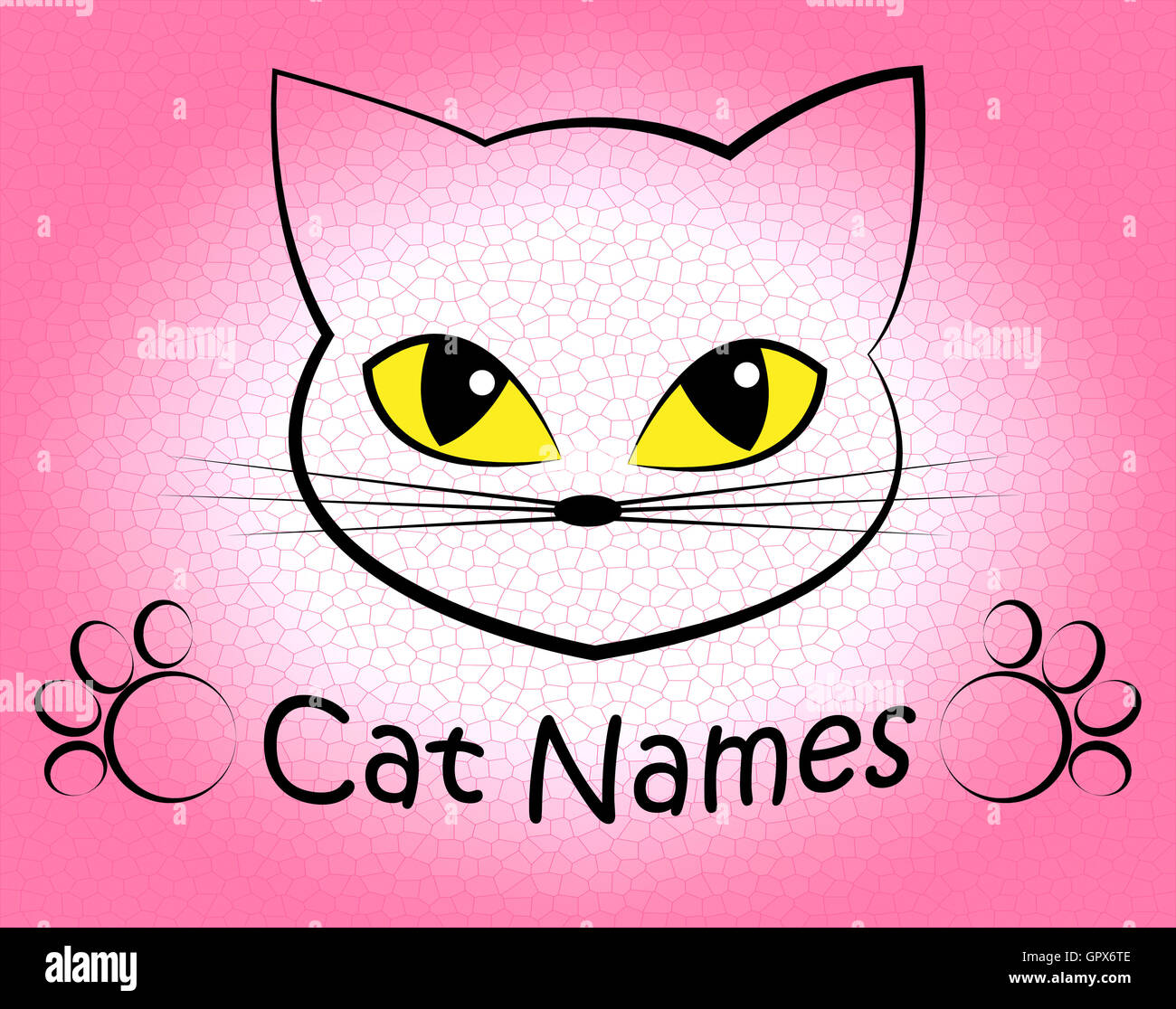 Cat Names Showing Pet Felines And Kitty Stock Photo - Alamy
