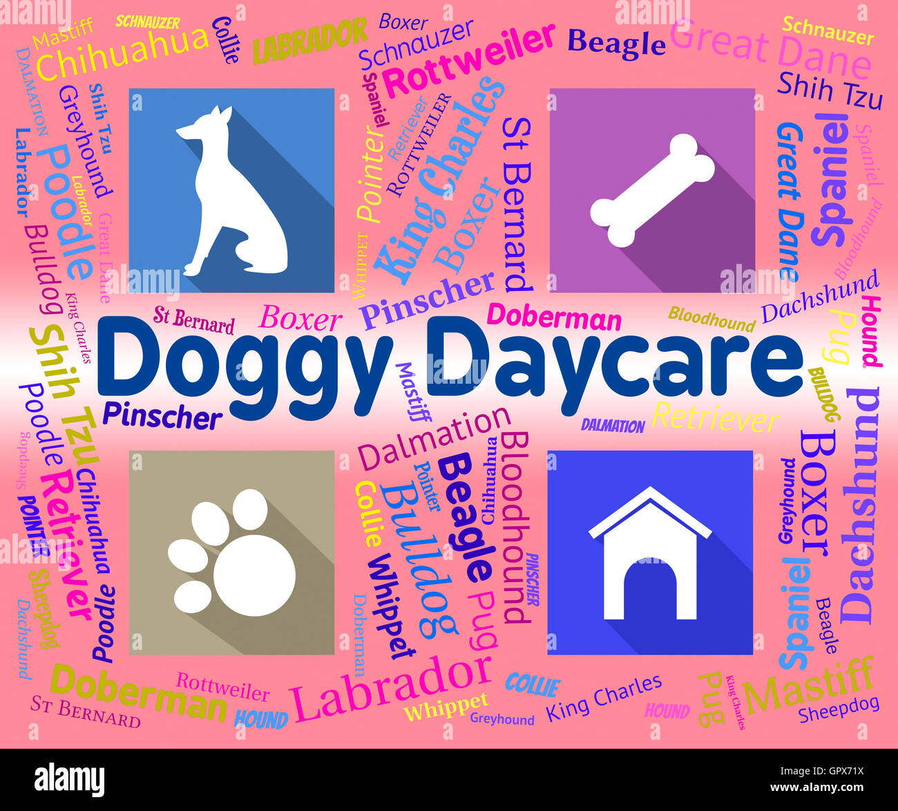 Doggie daycare hi-res stock photography and images - Alamy