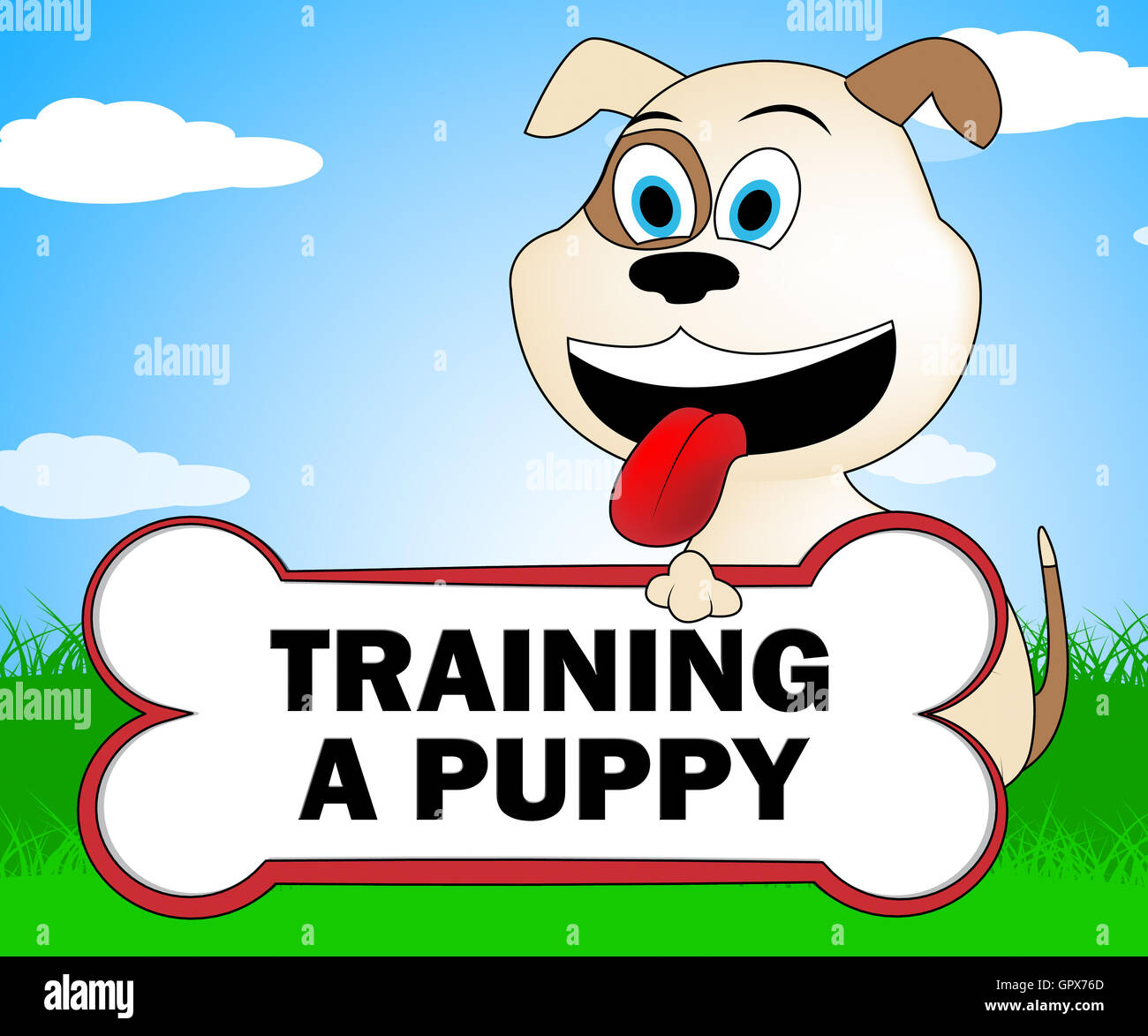 Training A Puppy Indicating Instructing Trainer And Puppies Stock Photo ...