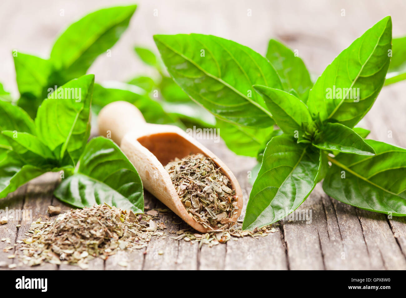Dry basil leaves Stock Photo - Alamy