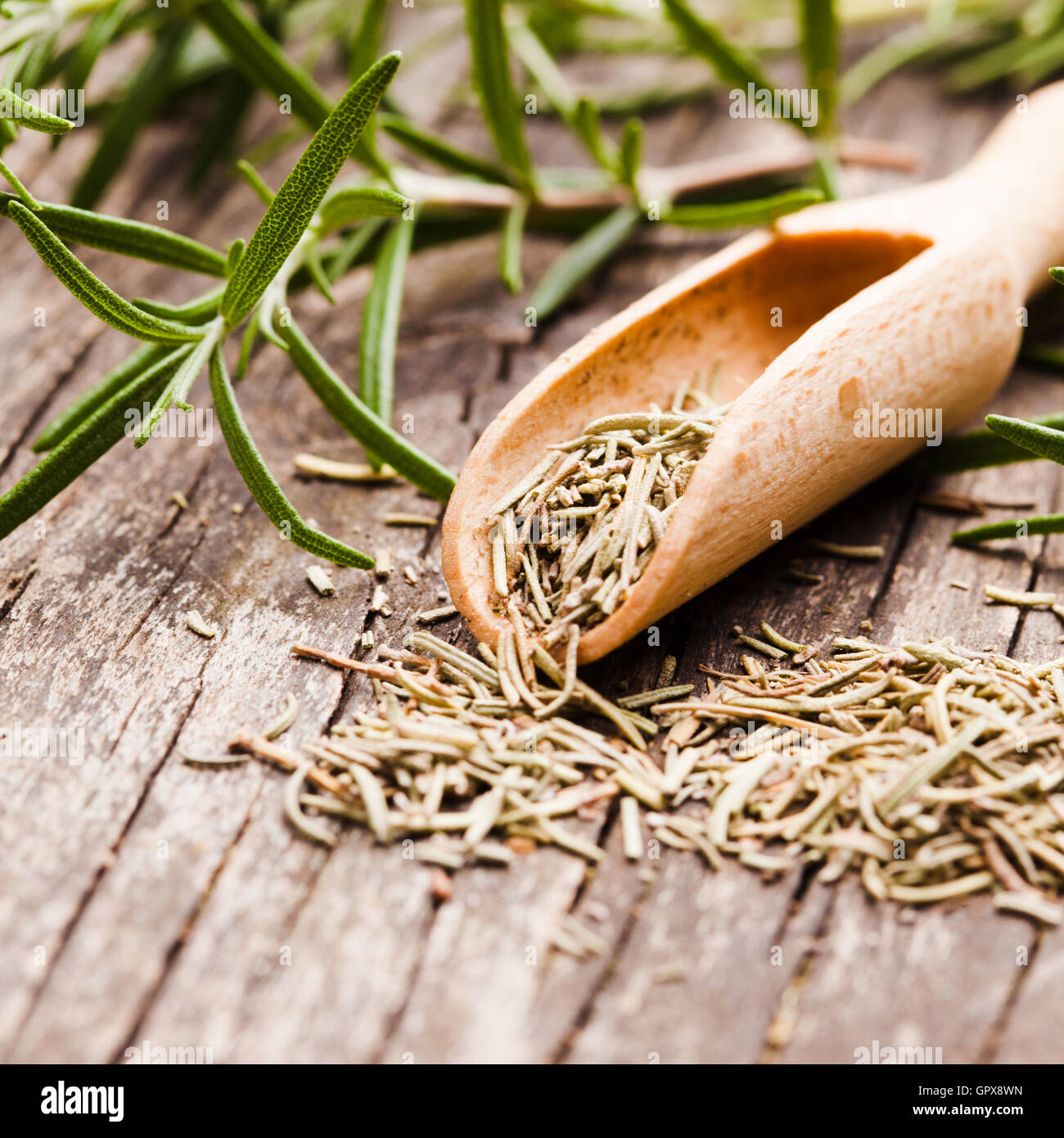 Dry rosemary herb Stock Photo - Alamy