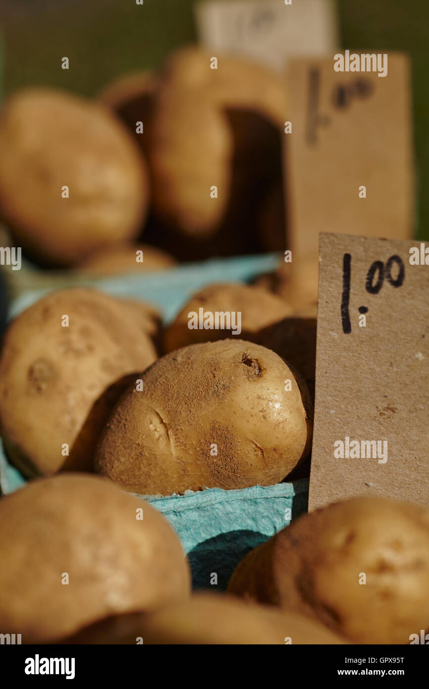 Retail display stand hi-res stock photography and images - Alamy