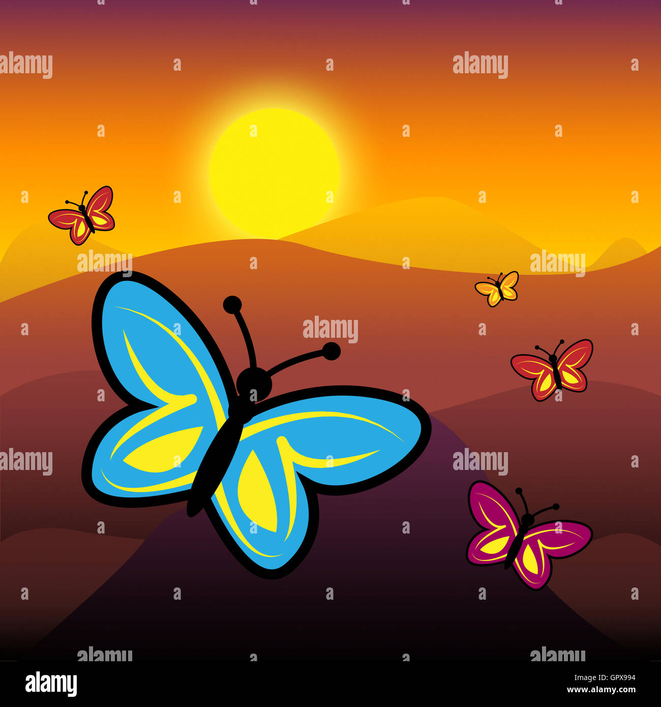 Butterflies At Nighttime Showing Moon Flying And Butterfly Stock Photo ...