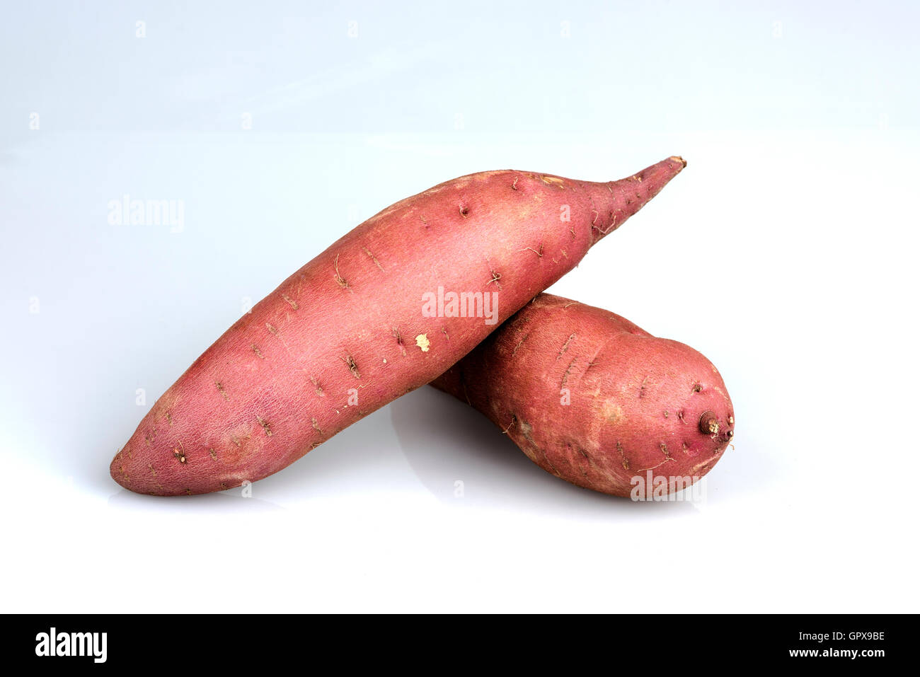 Yams farm hi-res stock photography and images - Alamy