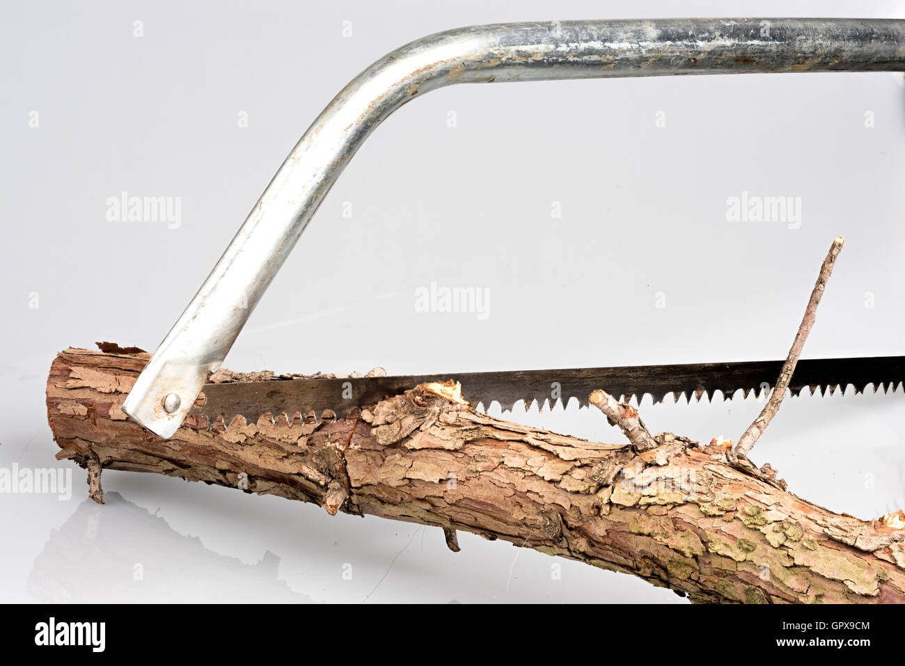 Saw log tree hi-res stock photography and images - Alamy