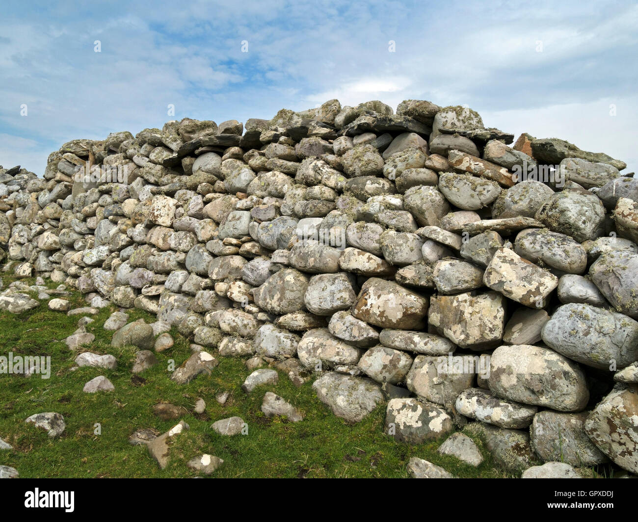 Ancient dry stone wall made from round, lichen covered beach pebbles ...