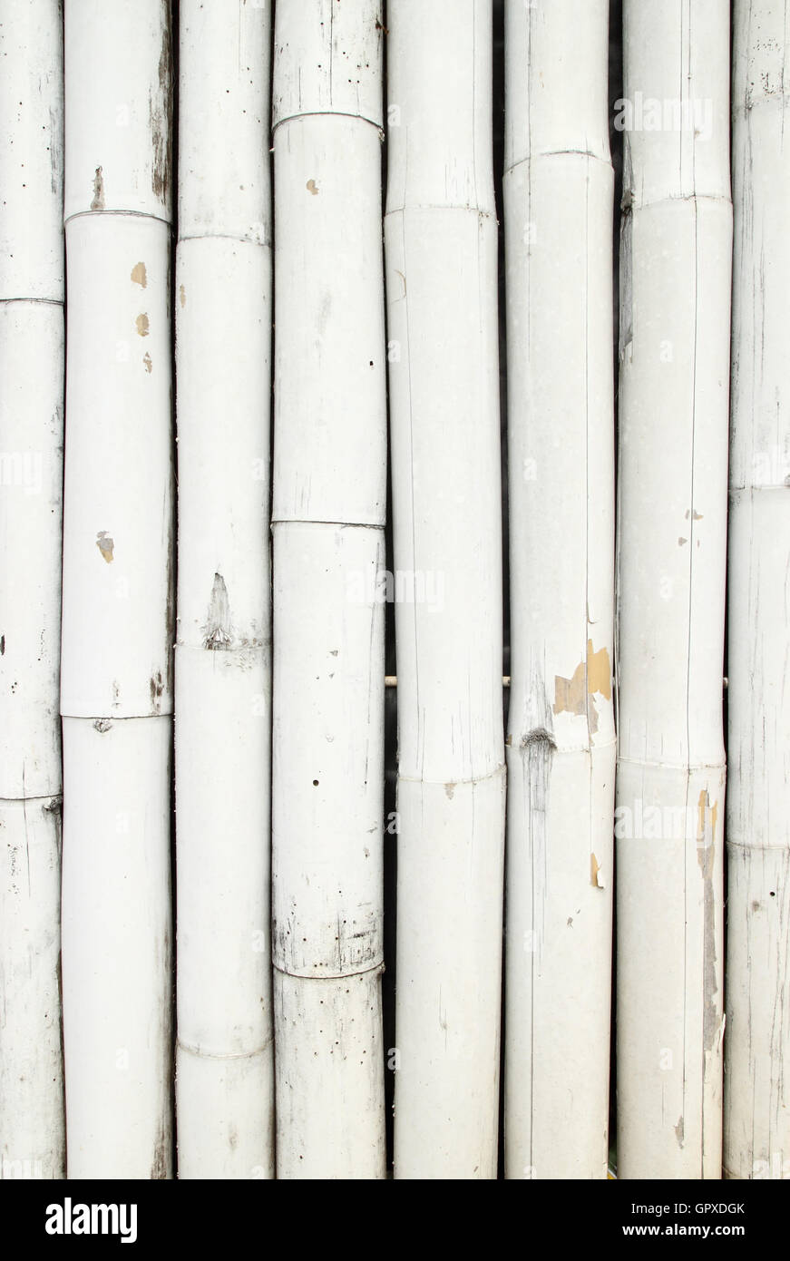 white bamboo background Stock Photo - Alamy