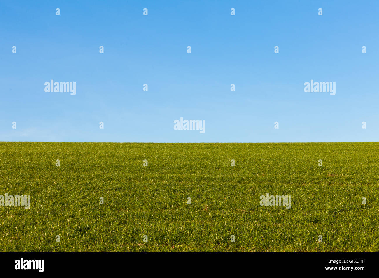 Empty landscape with copyspace hi-res stock photography and images - Alamy