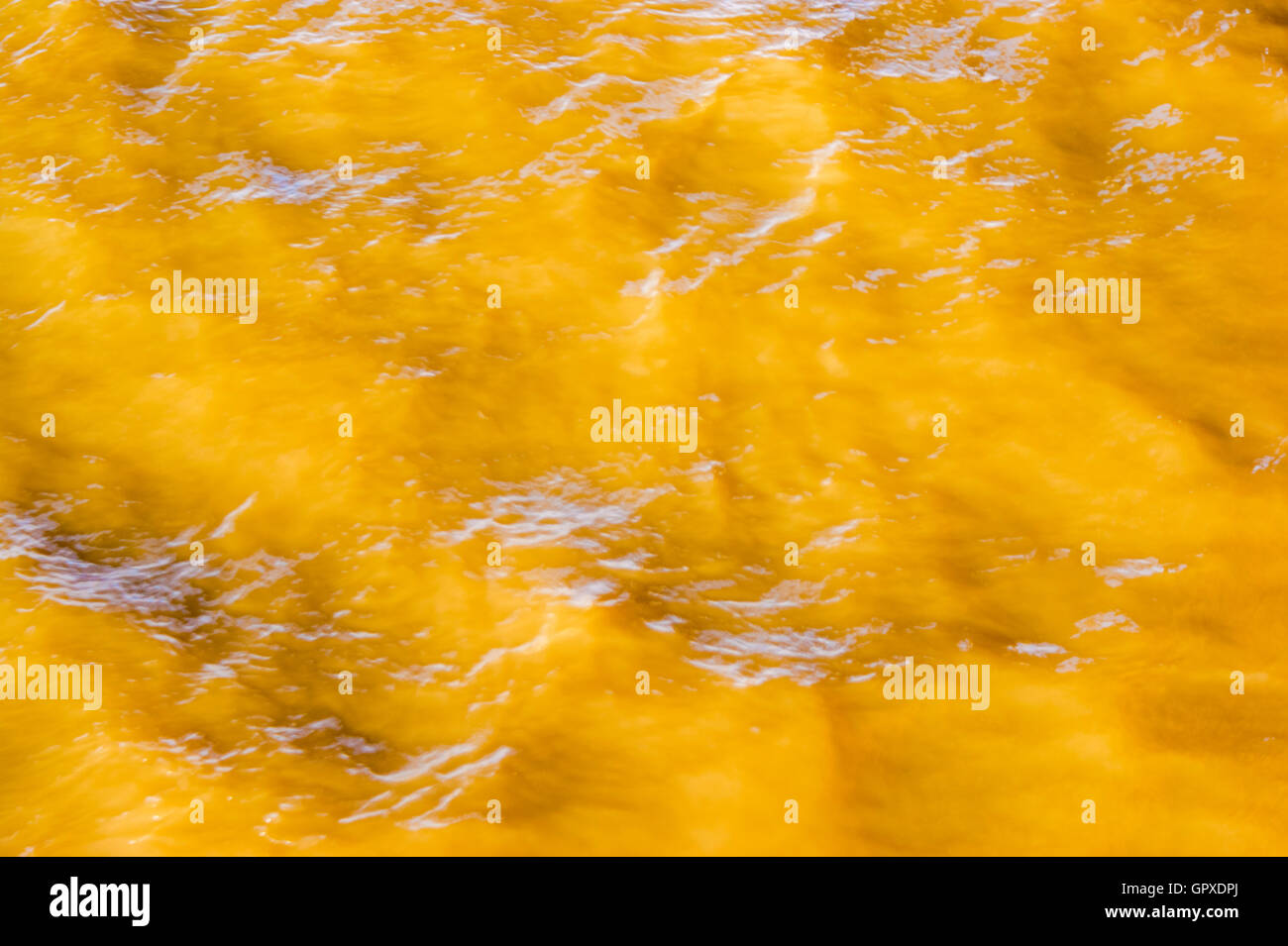 Yellow dirty water Stock Photo - Alamy