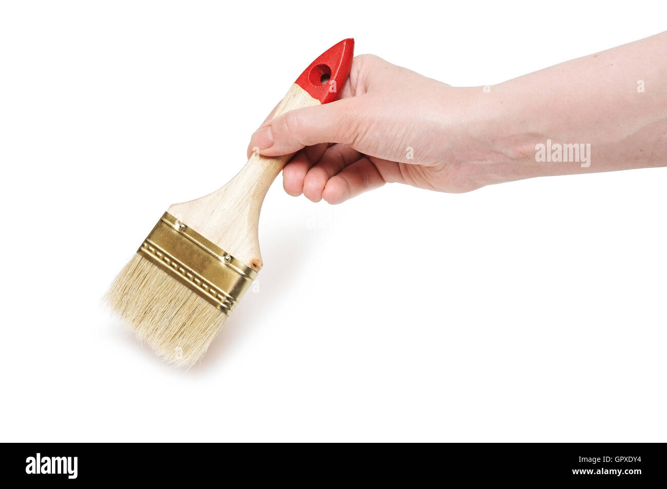 Hand with paintbrush isolated on white background Stock Photo - Alamy