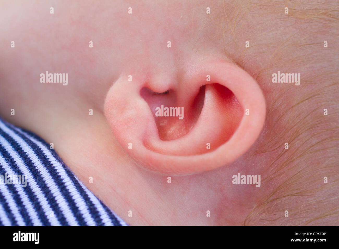 Ear head hi-res stock photography and images - Alamy