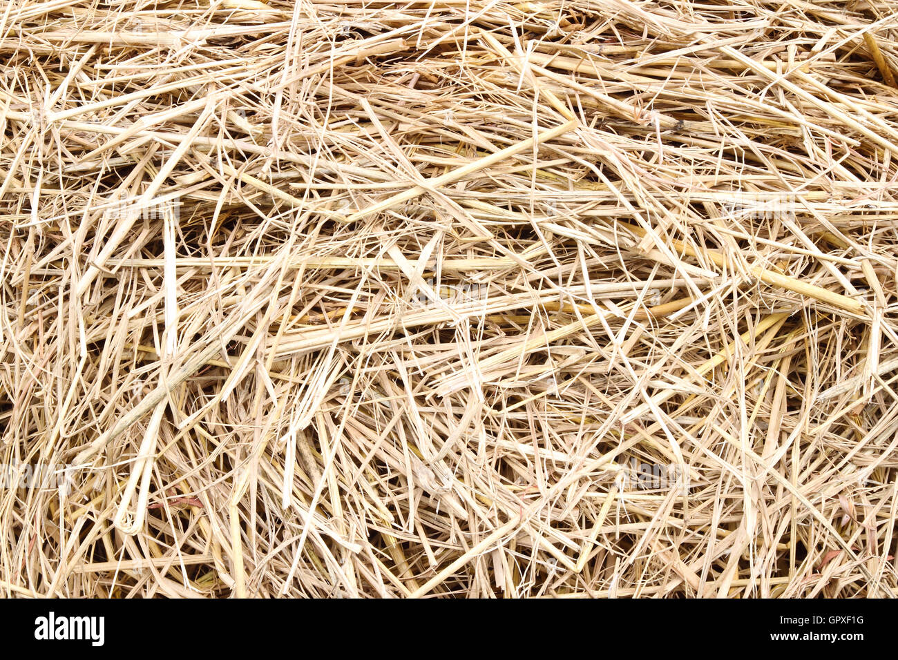 close up straw texture Stock Photo - Alamy