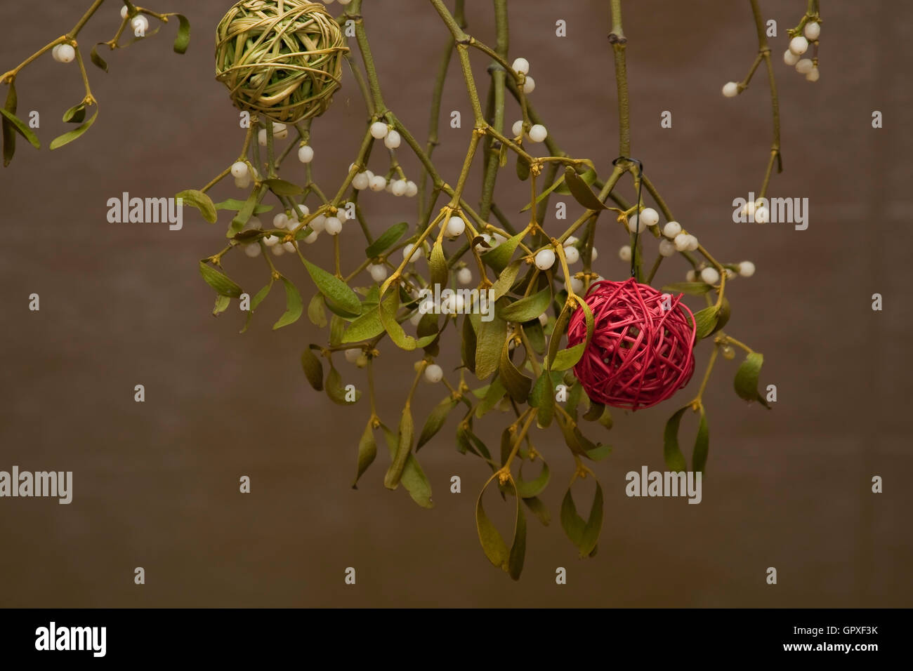 Mistletoe white hi-res stock photography and images - Alamy