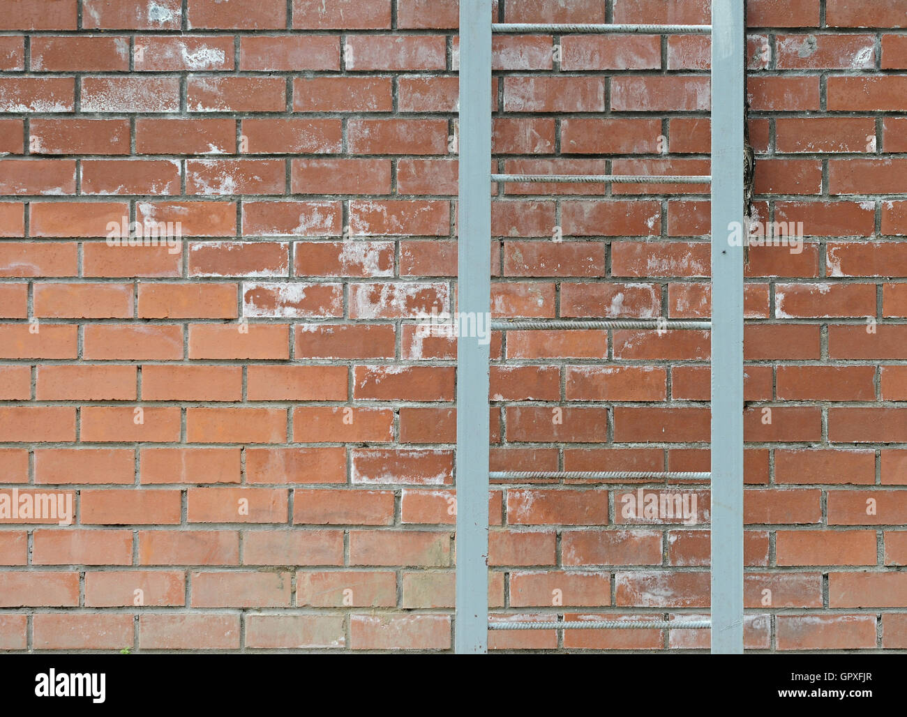 Old metal ladder on a brick wall Stock Photo - Alamy