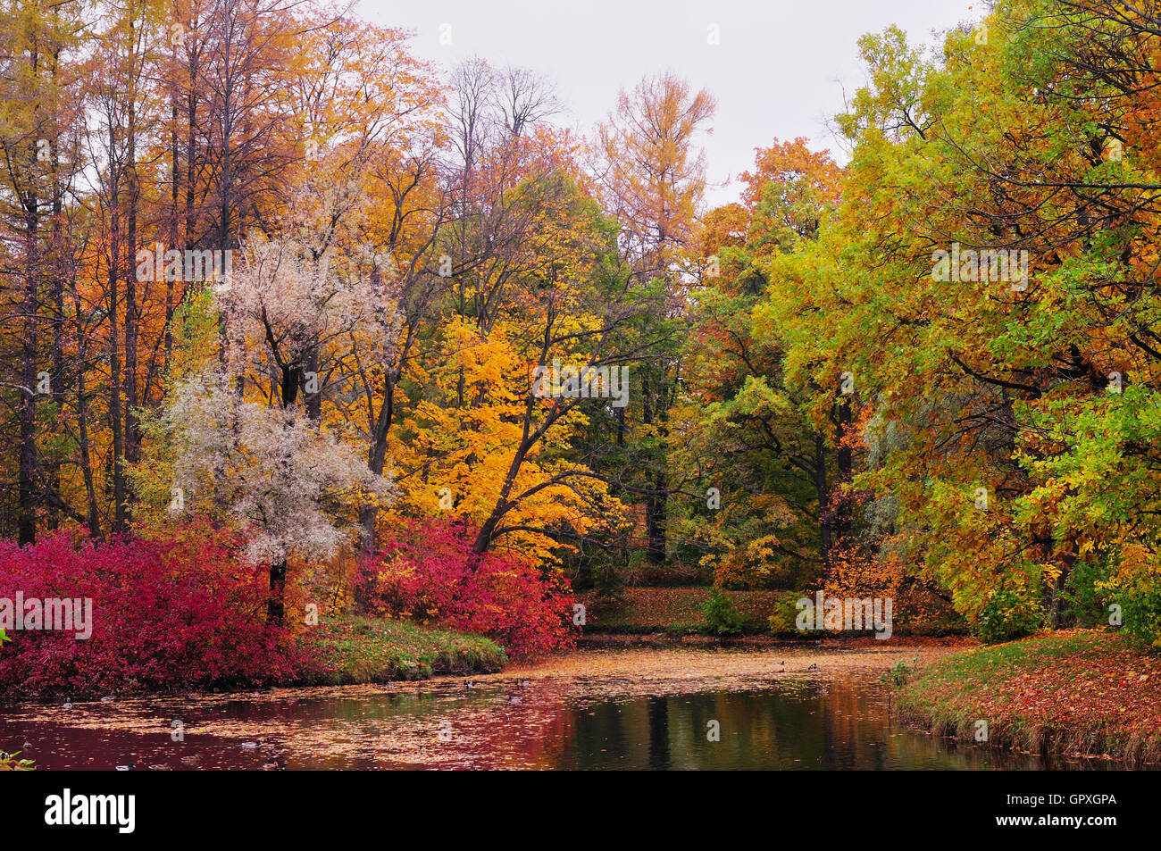Autumn landscape. Russia Stock Photo - Alamy