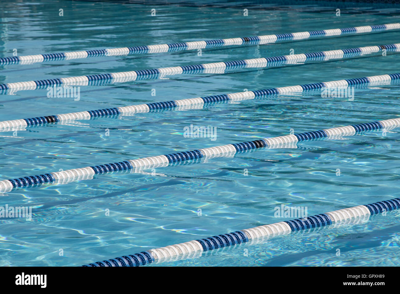 Swimming lanes in a pool Stock Photo - Alamy