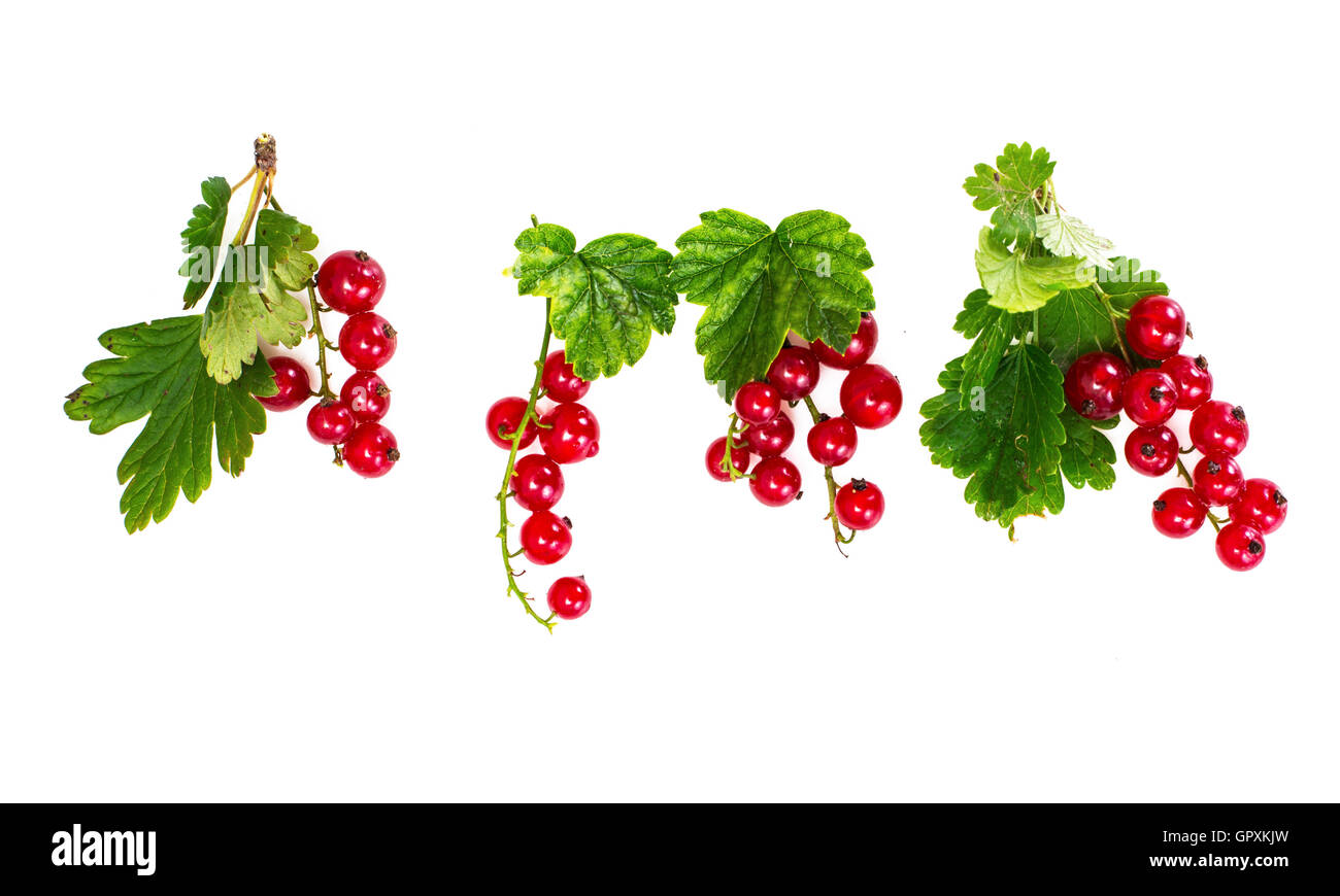 Red Currants Isolated on White Stock Photo - Alamy