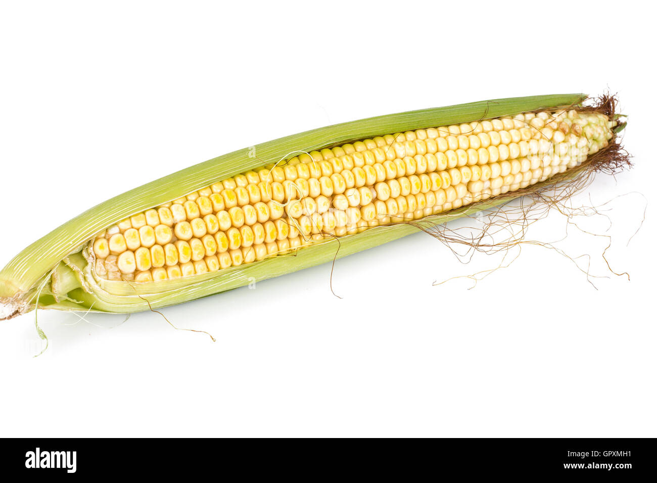 Corn Cob Background