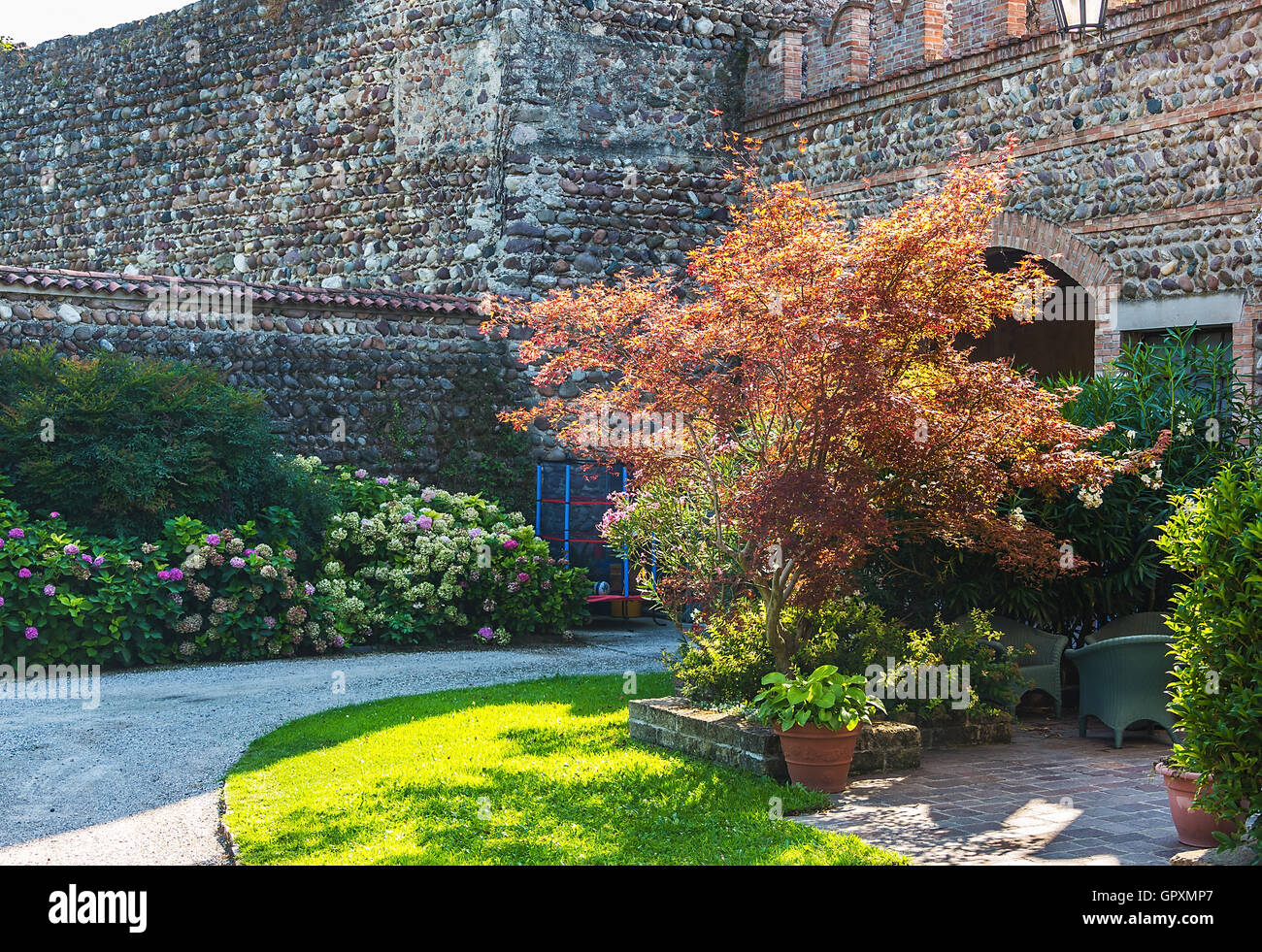 Inner courtyard of the ancient castle with plants Stock Photo - Alamy