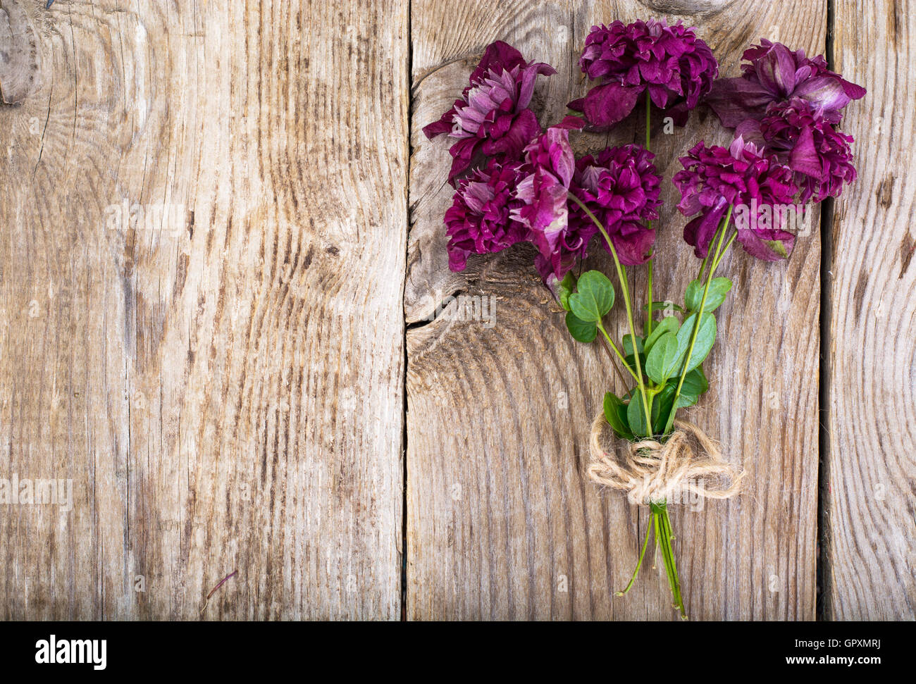 Purple Clematis Flower on Wooden Rustic Background Stock Photo - Alamy