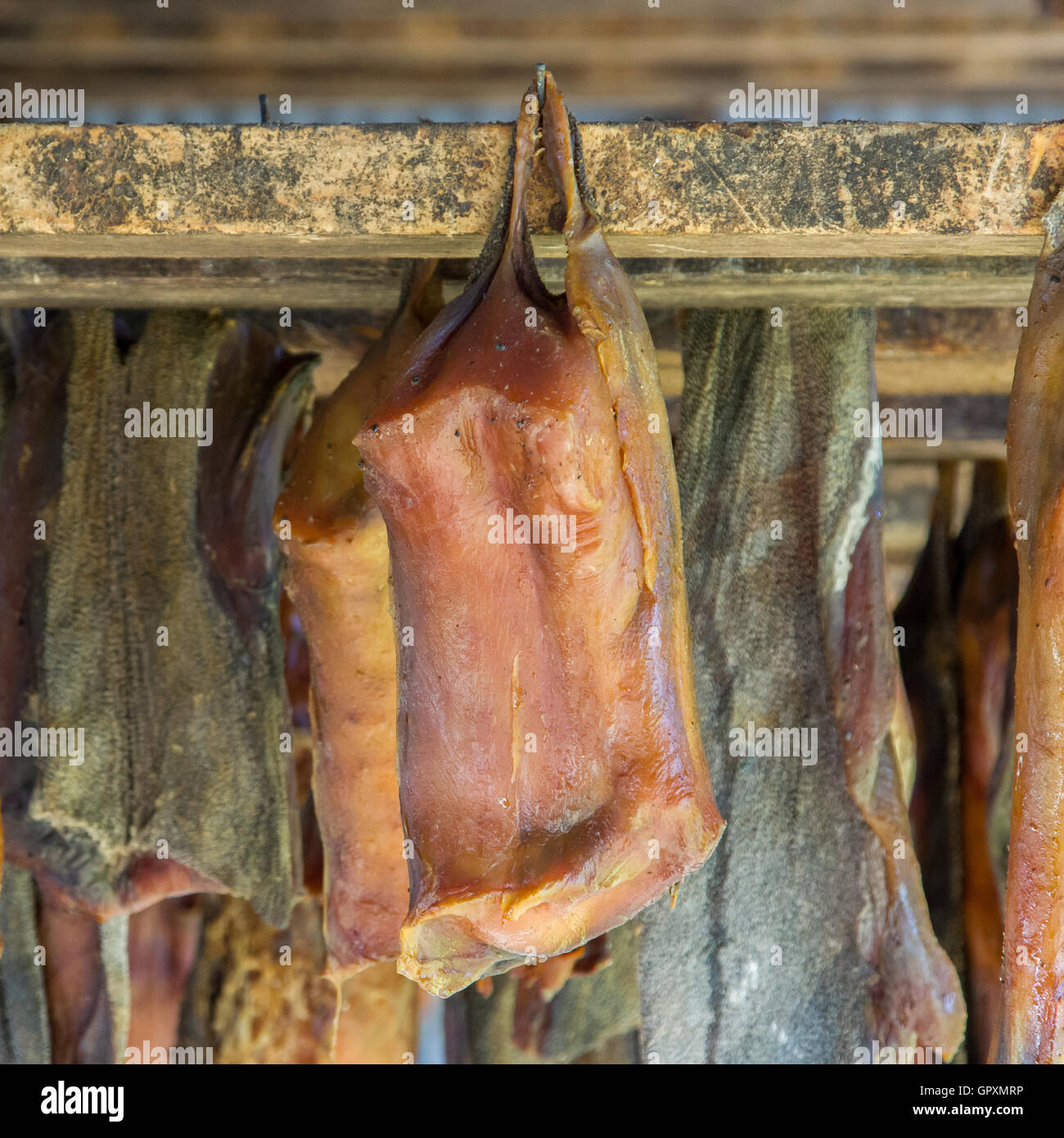 Iceland's fermented shark at Bjarnarhofn Shark Museum (drying house ...