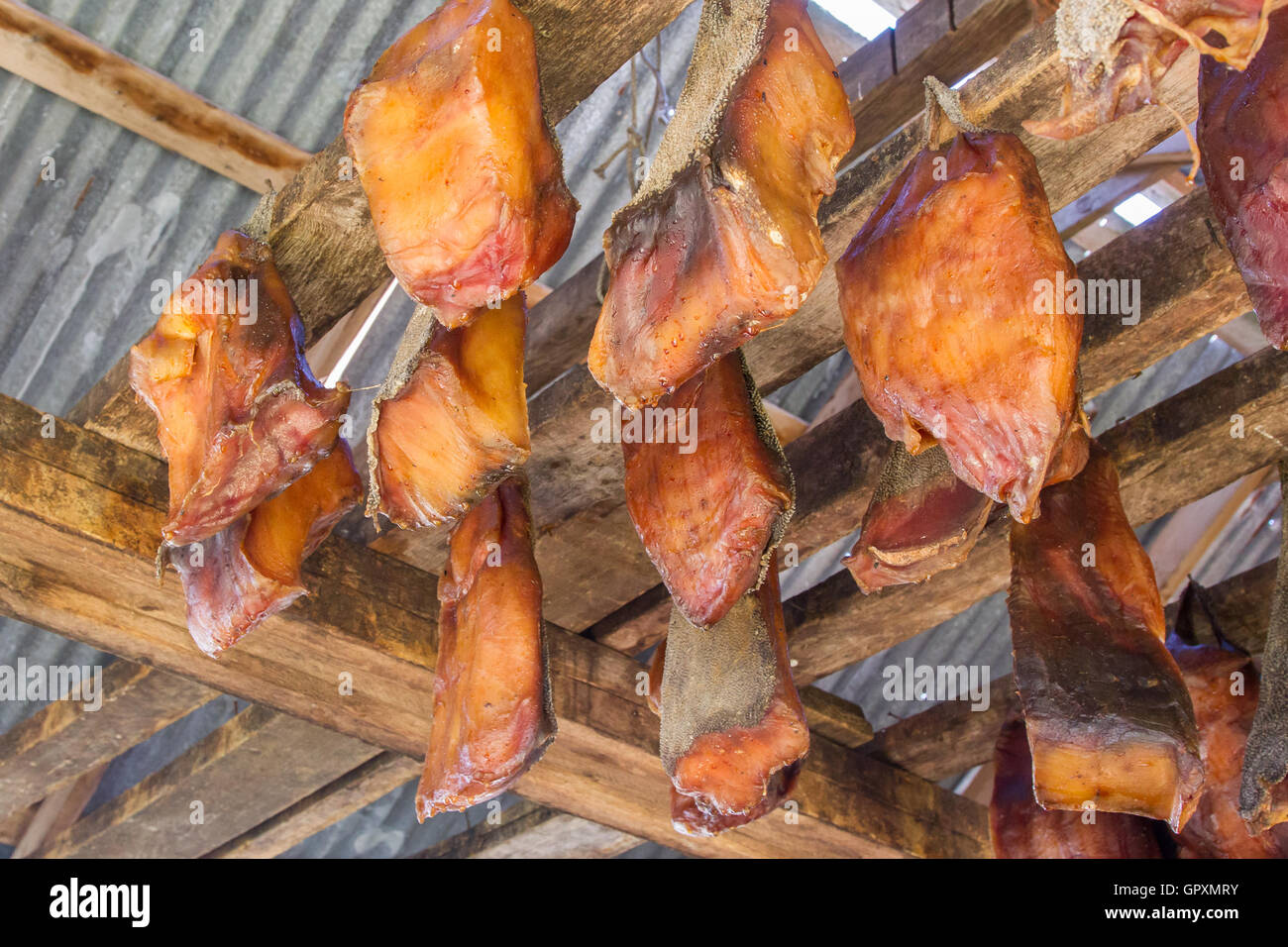 Iceland's fermented shark at Bjarnarhofn Shark Museum (drying house ...