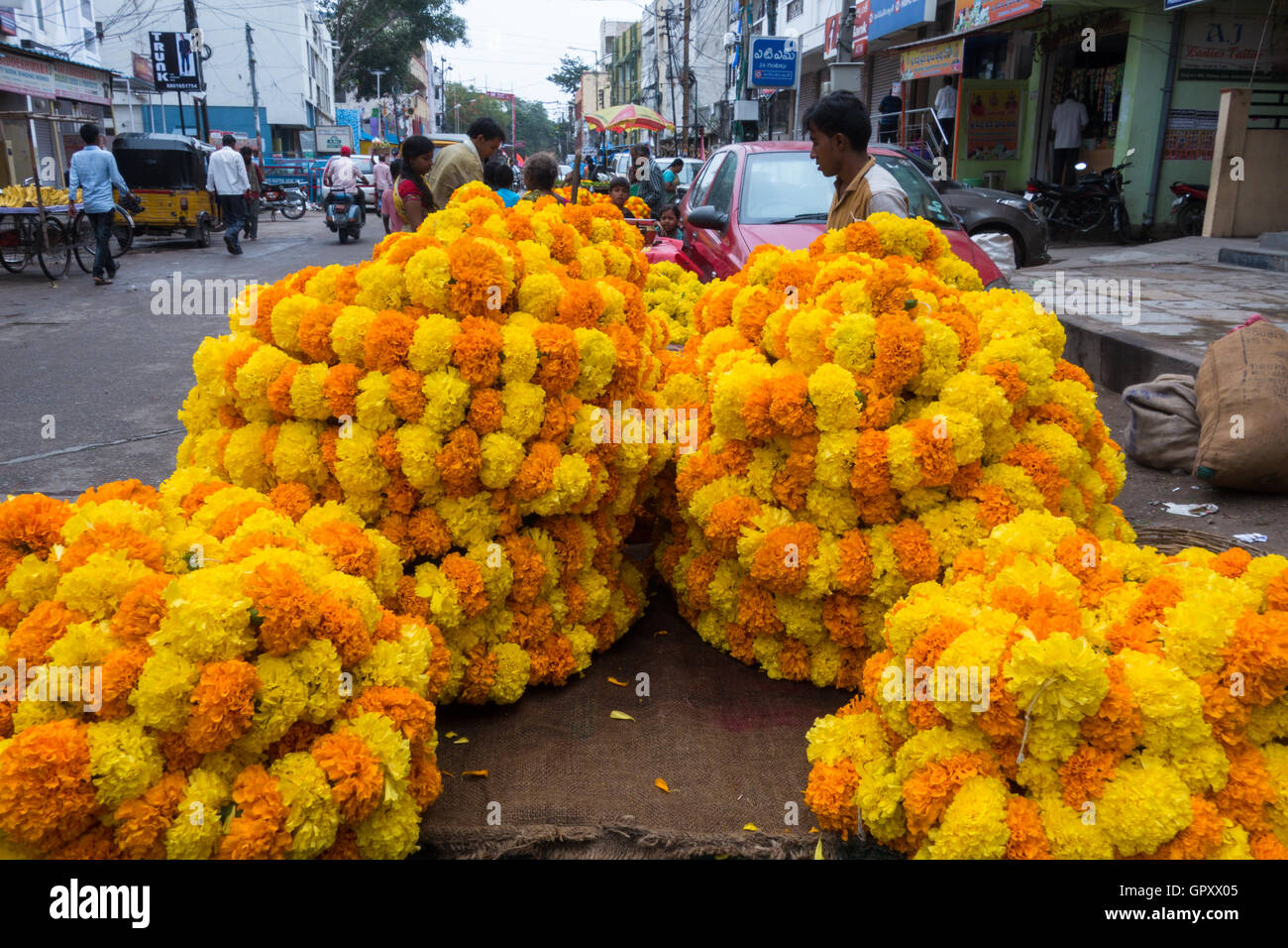 Marigold flowers hi-res stock photography and images - Alamy
