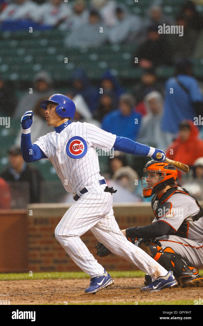 Darwin barney hi-res stock photography and images - Alamy