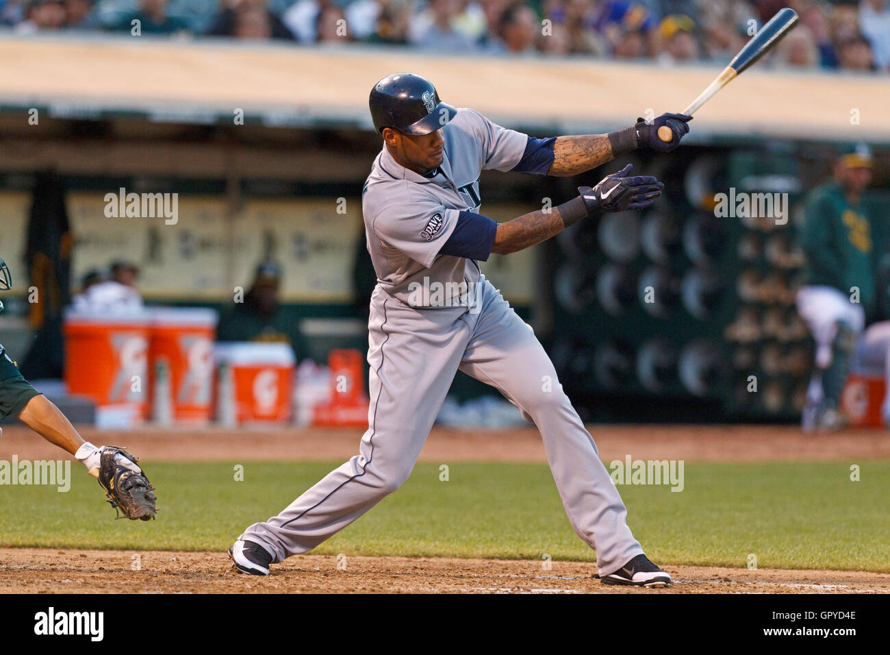 Greg halman hi-res stock photography and images - Alamy