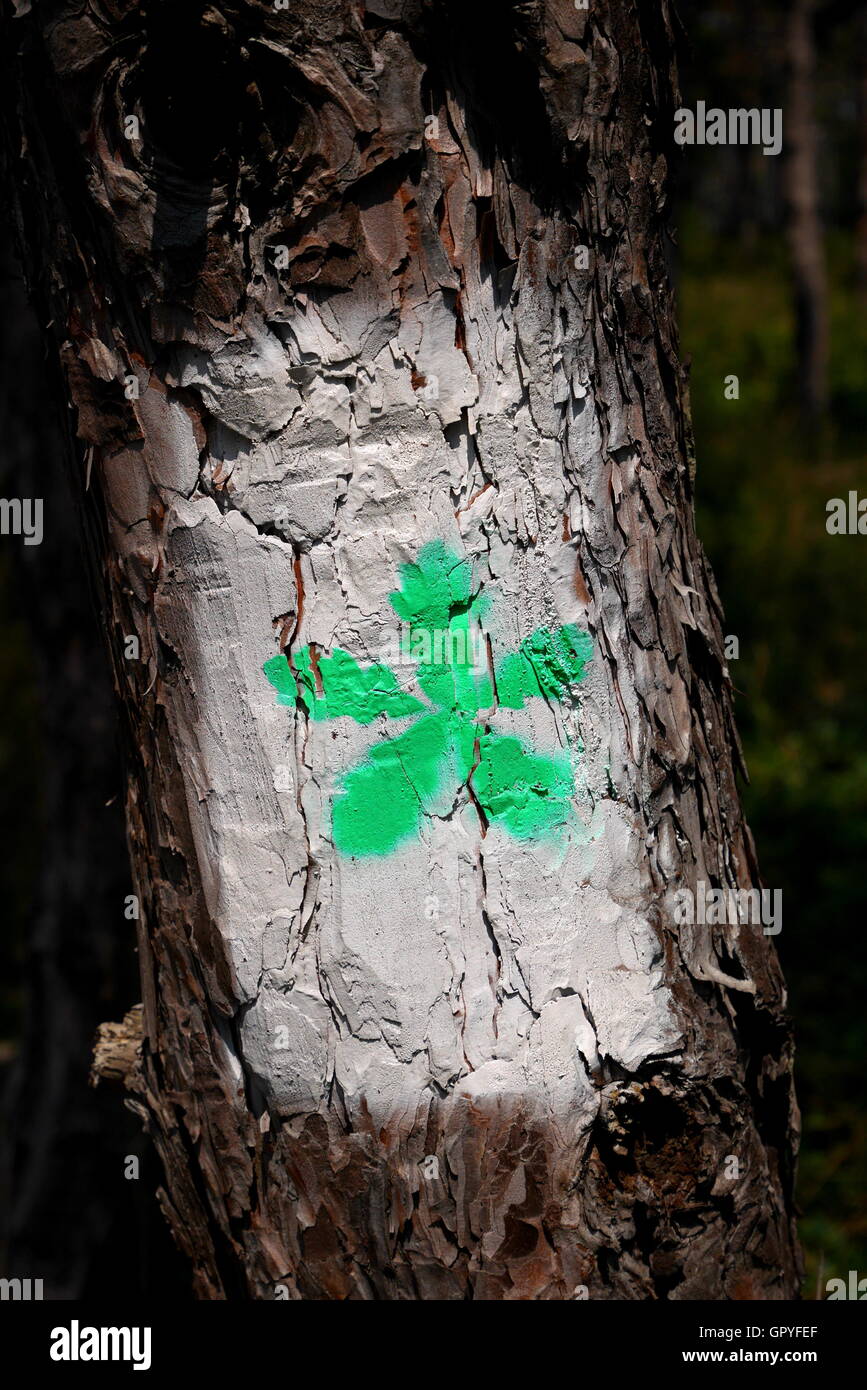 Sign on a tree trunk marking the route of the Vertes Panoramic Nature ...