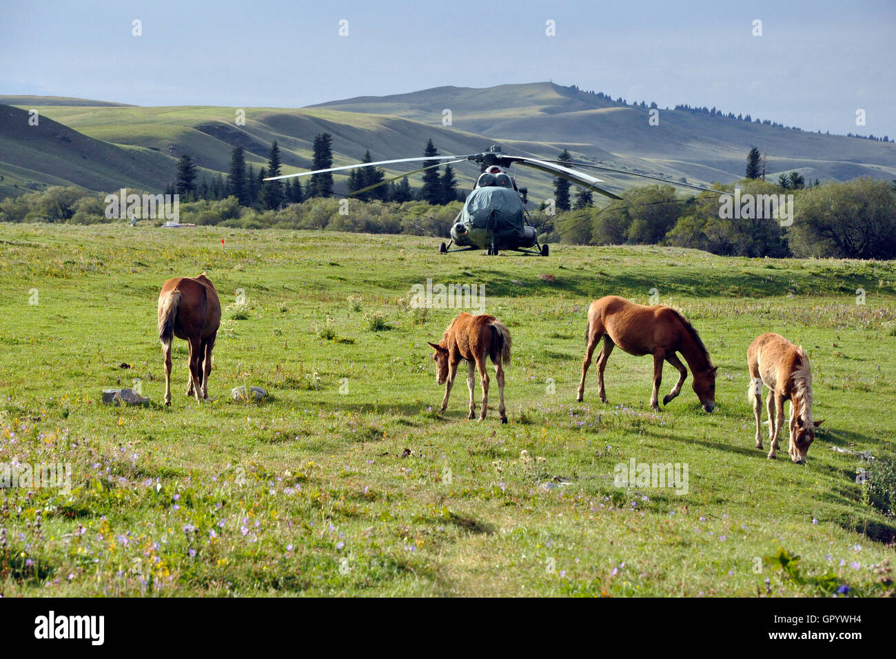 Kyrgyzstan, Karkara valley Stock Photo - Alamy