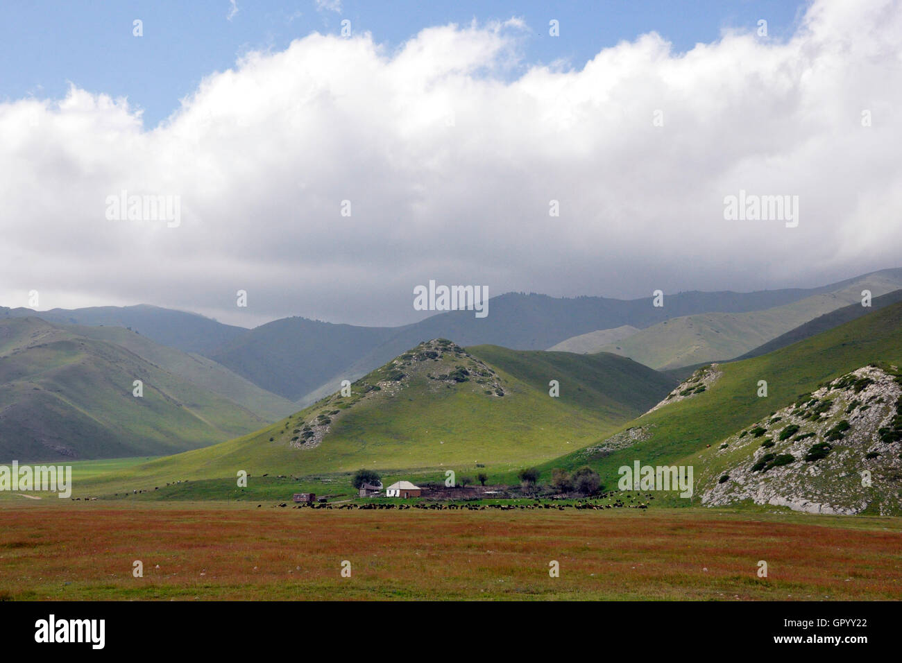 Kyrgyzstan, Karkara valley Stock Photo - Alamy
