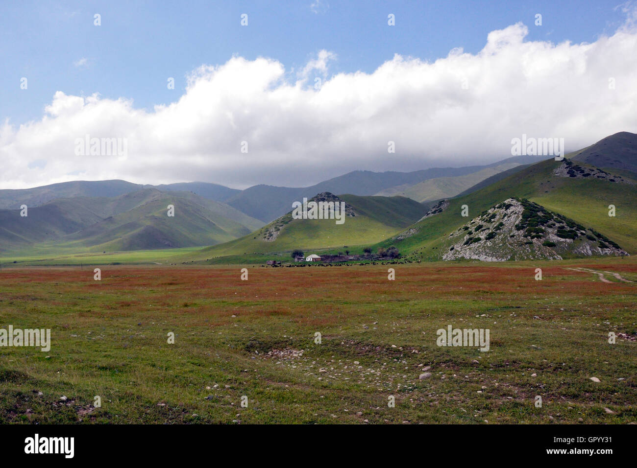 Kyrgyzstan, Karkara valley Stock Photo - Alamy