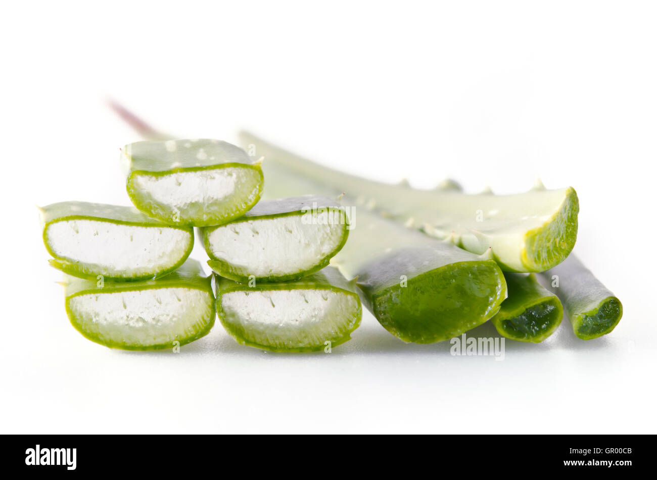 Aloe Vera (Also called as Aloe barbadensis Mill., Star cactus, Aloe ...