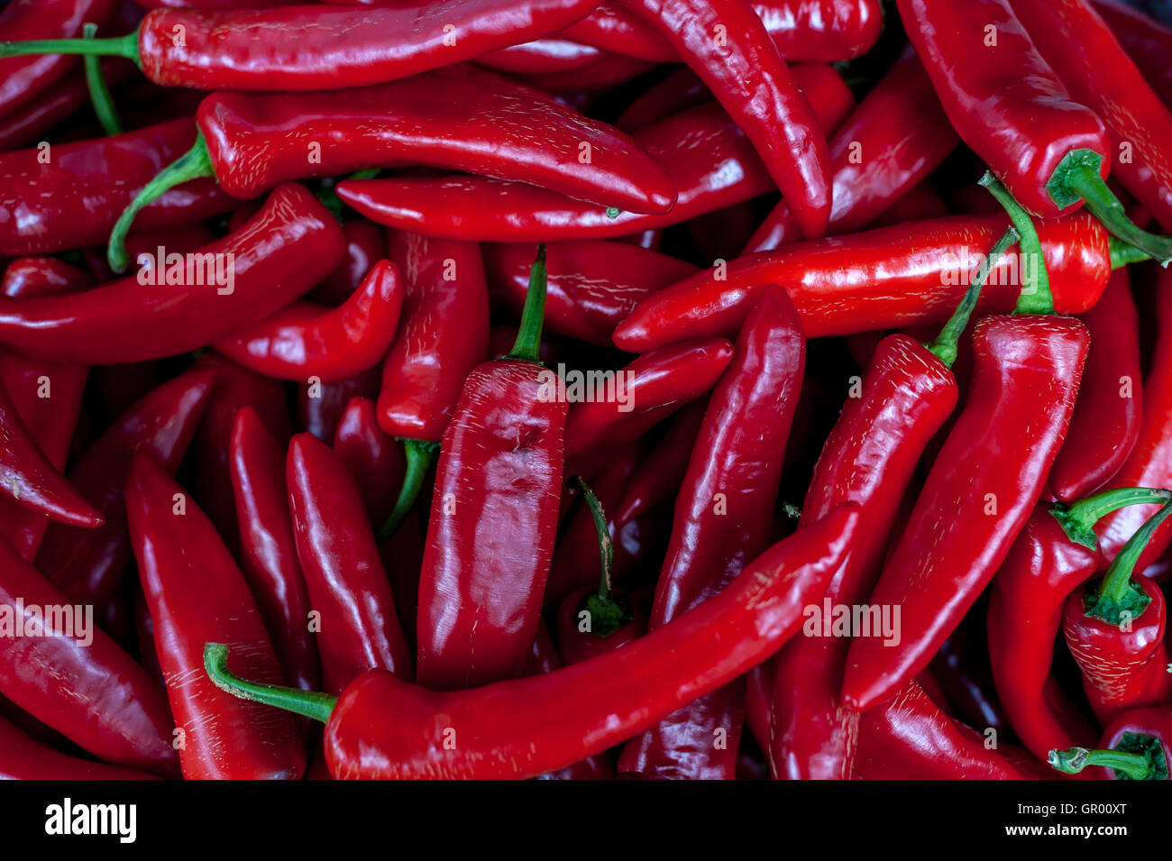 Unusual chilis at the annual Chili Fiesta at West Dean Estate in West ...