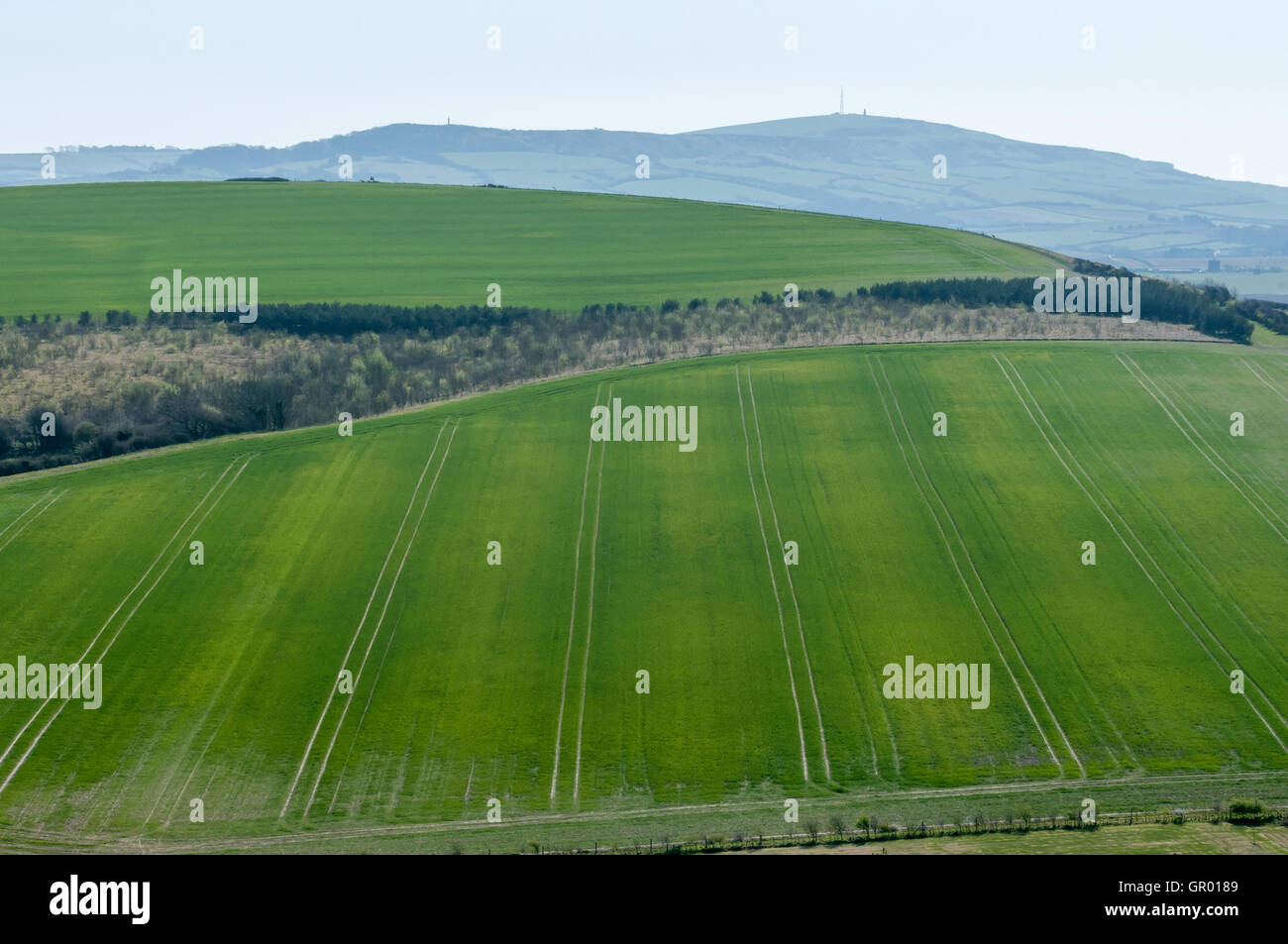 Walking over Chillerton Down on the Isle of Wight Stock Photo - Alamy