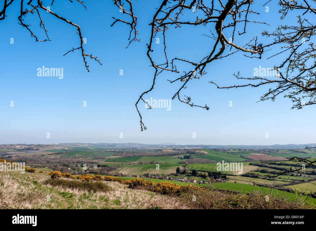 Chillerton High Resolution Stock Photography and Images - Alamy