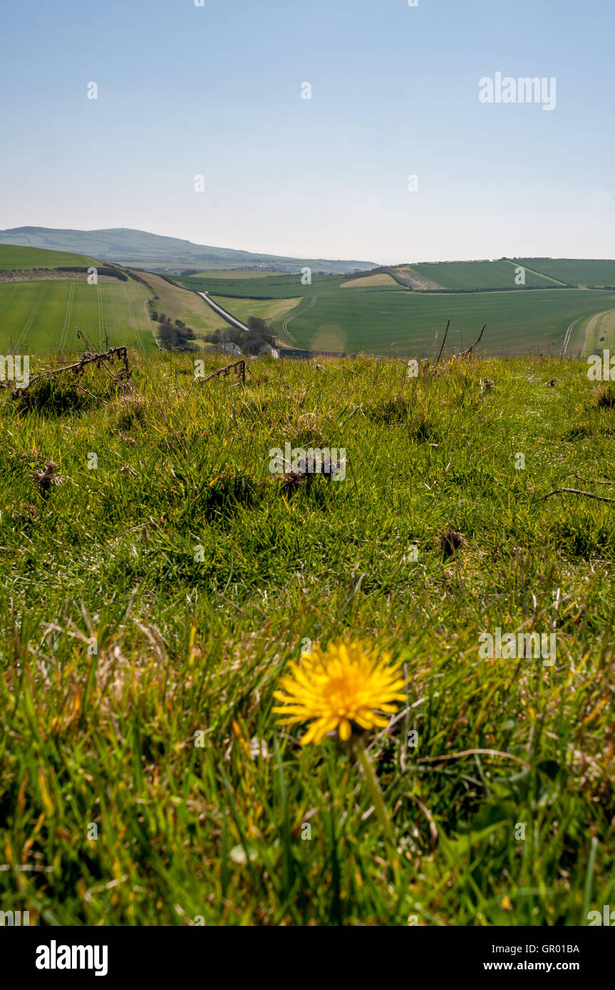 Walking over Chillerton Down on the Isle of Wight Stock Photo - Alamy