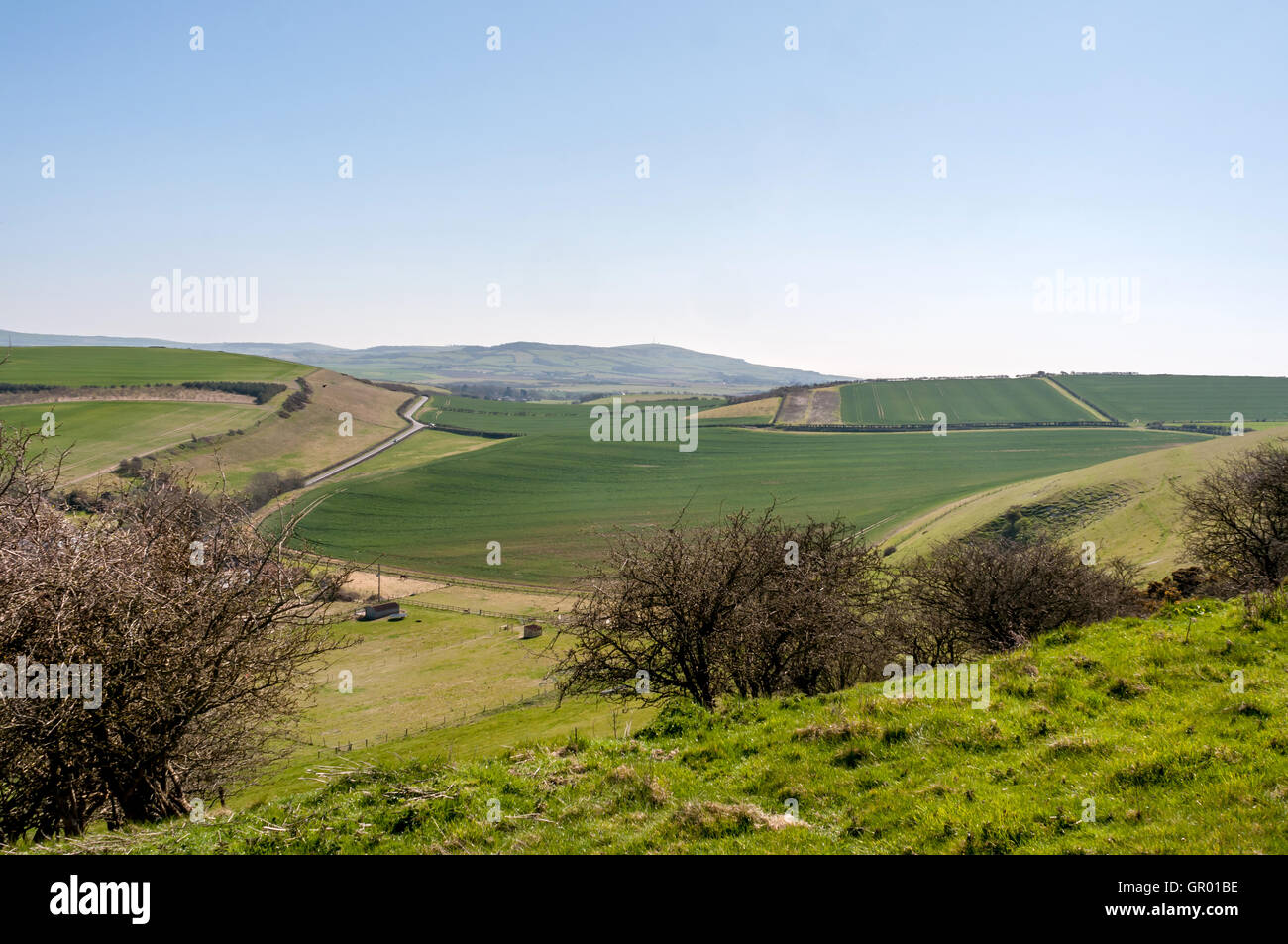 Walking over Chillerton Down on the Isle of Wight Stock Photo - Alamy